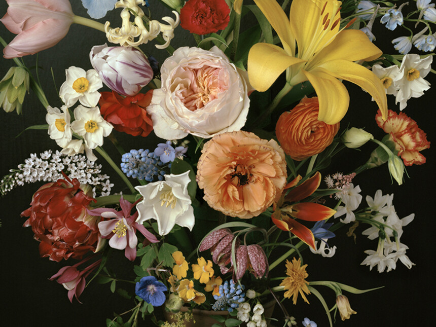 Sharon Core (American, b. 1965), 1606, 2011, inkjet print. © Sharon ...