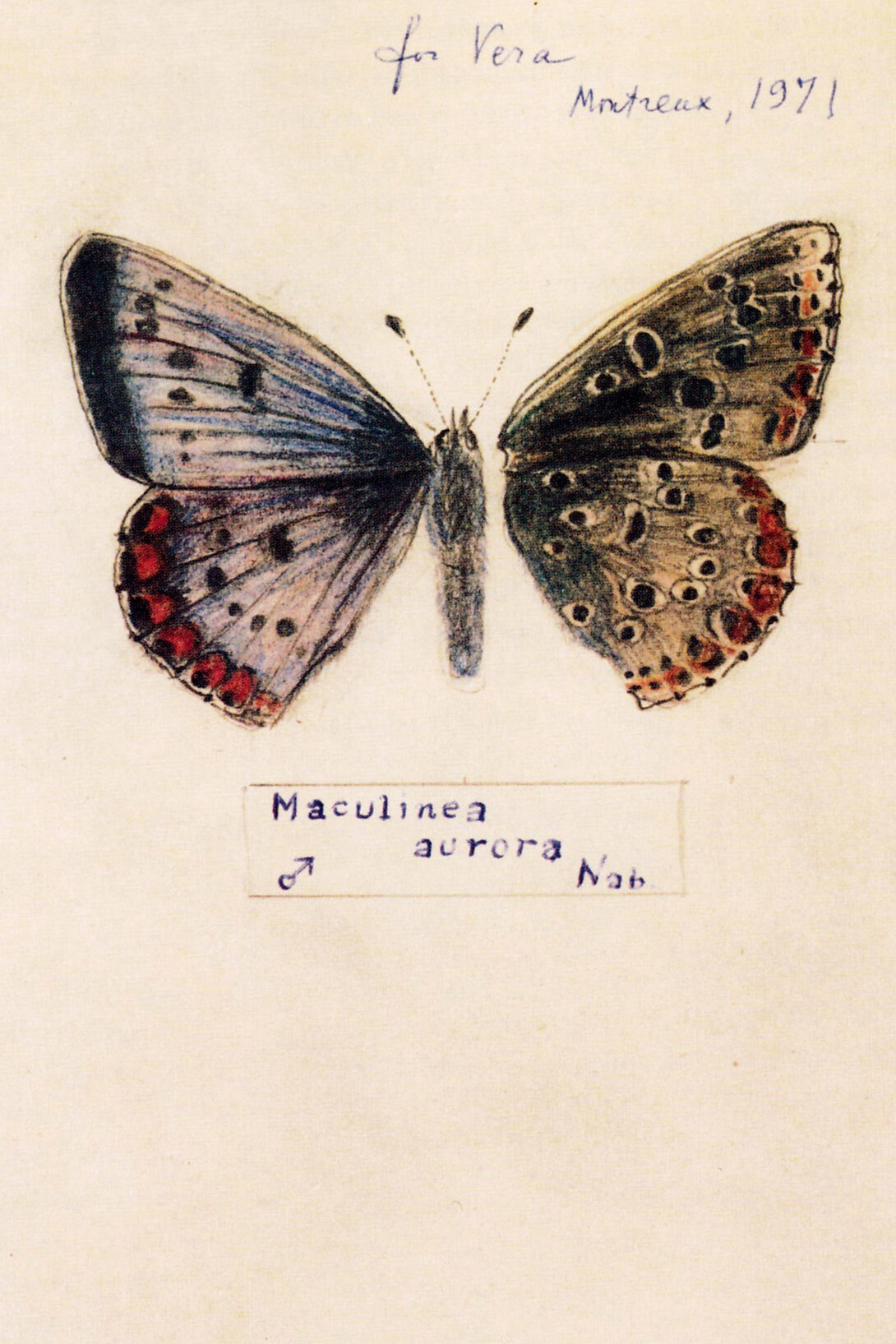 Vladimir Nabokov entomólogo | Meer