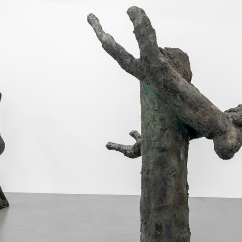 Martin Disler | Meer