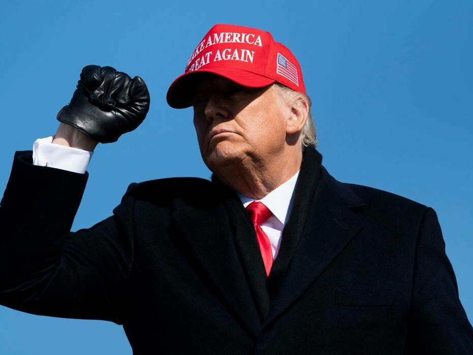 How the MAGA movement became the new punk rock | Meer