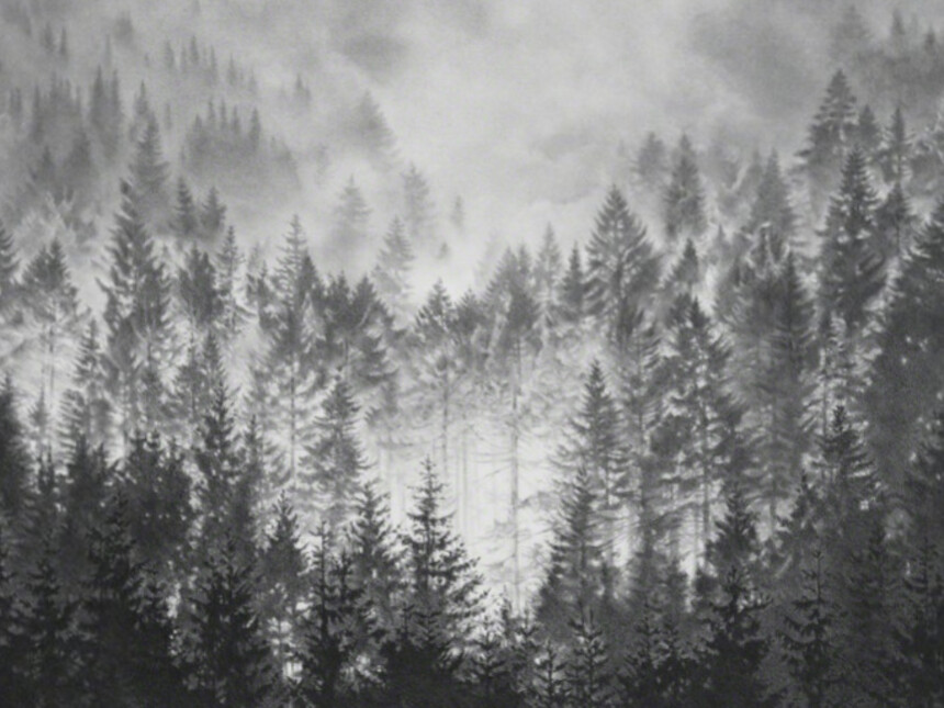 Christopher Murphy | Meer