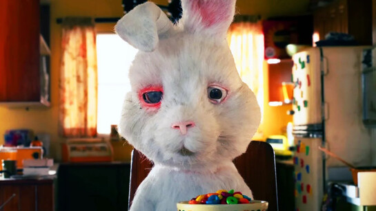 ¿Ralph es solo un conejo? | Meer