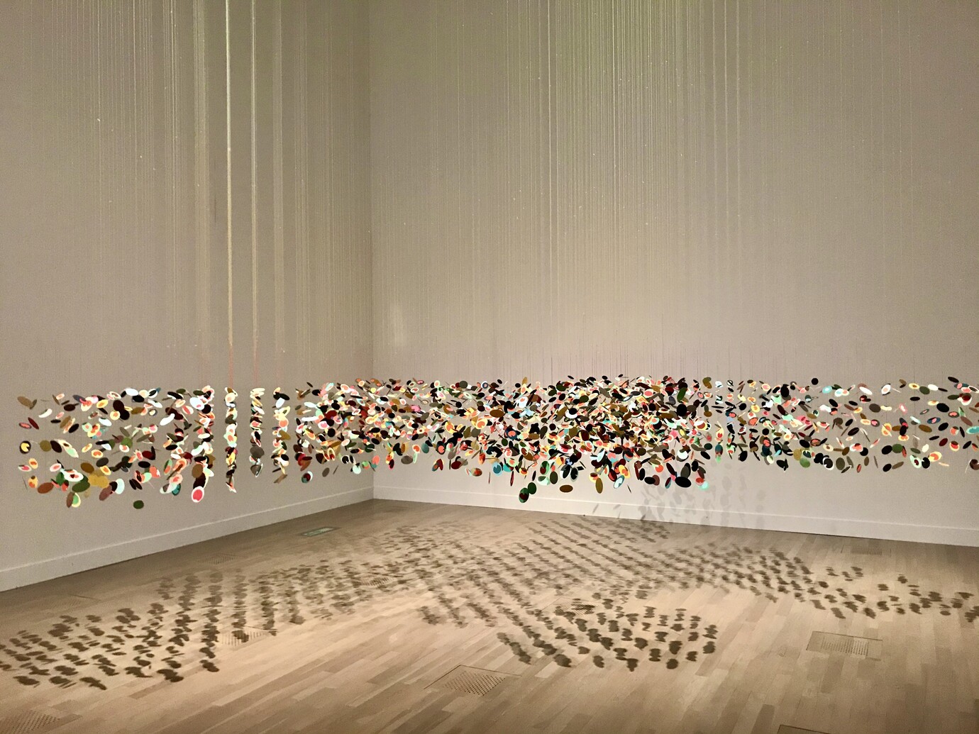 Light immersion in art | Meer