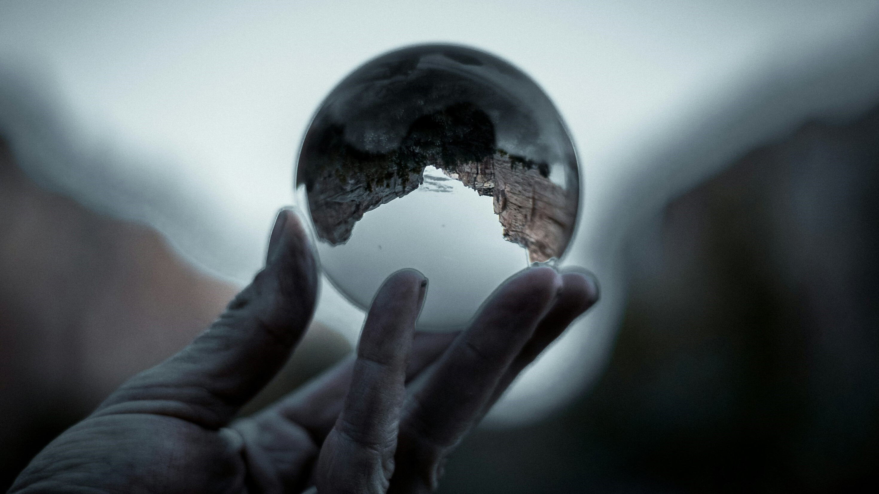 Geopolitical risks in 2024: uncertainty and conflict | Meer