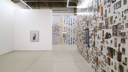 Background materials | Meer