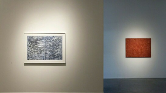 Steven Steinman. Sparks & Showers | Meer