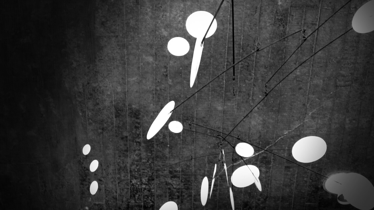 María Francisca Walls Ramírez: constructora de ciudadanía | Meer