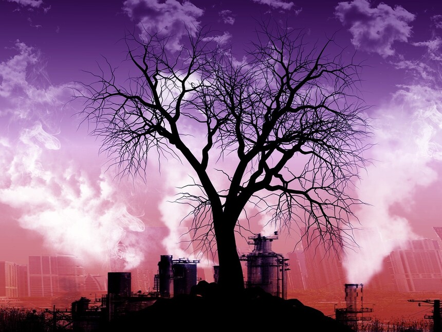 Our suicidal war against nature | Meer