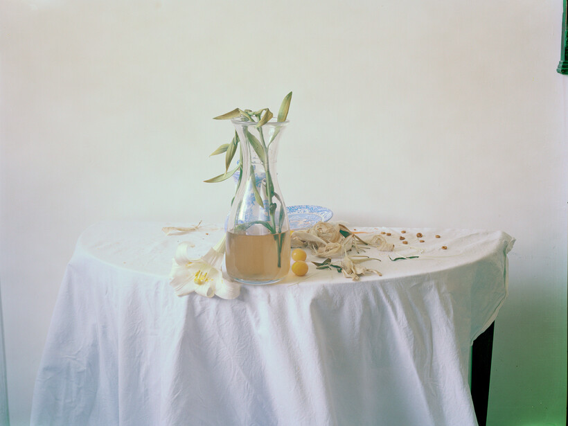 Laura Letinsky. Still Life Photographs (1997-2012) | Meer