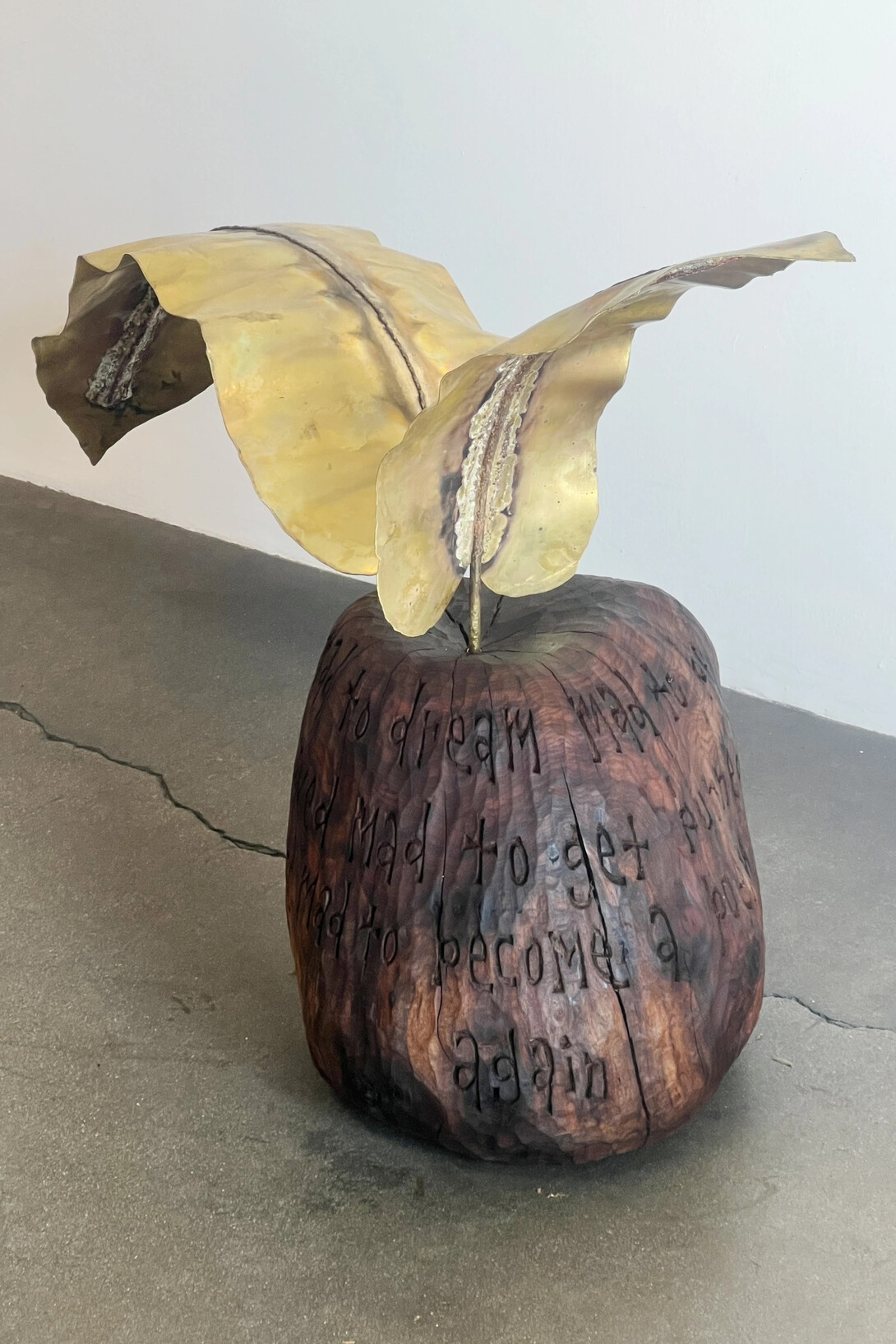 The mad chapel | Meer