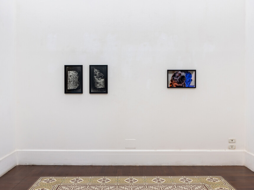 It takes a while to learn to talk the long language (...) | Meer