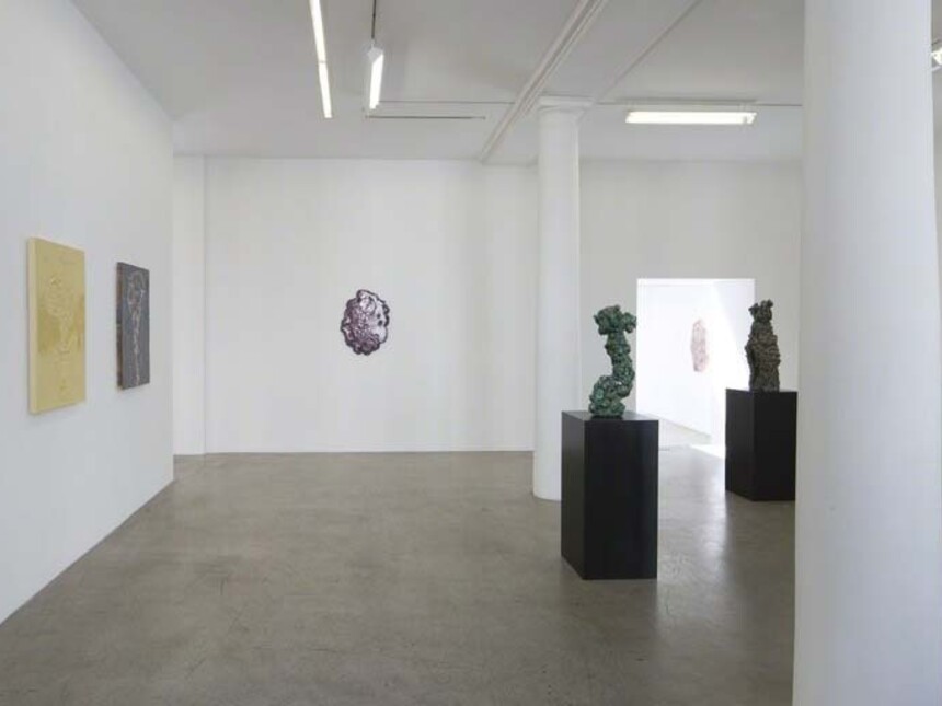 Cameron Jamie | Meer