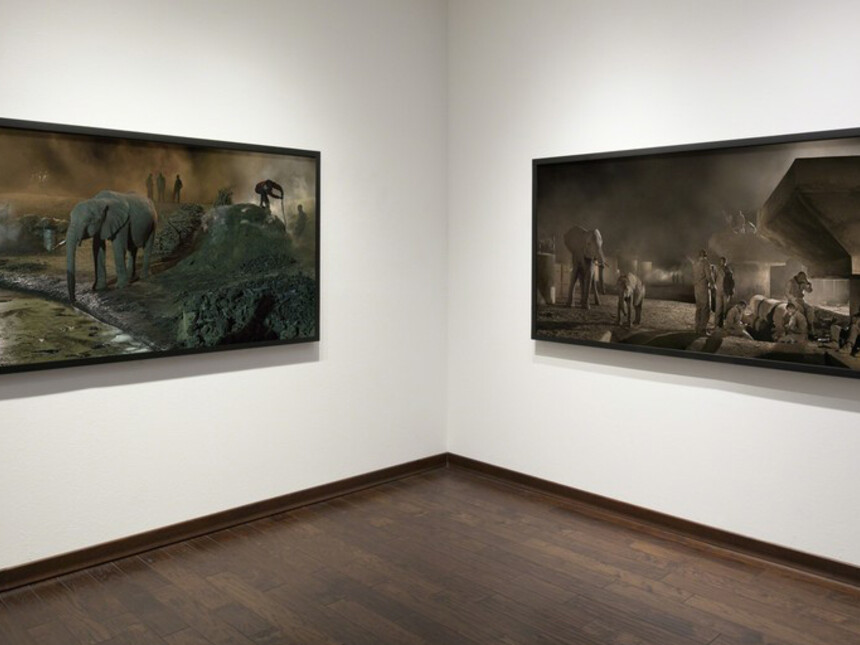 Nick Brandt. This Empty World | Meer