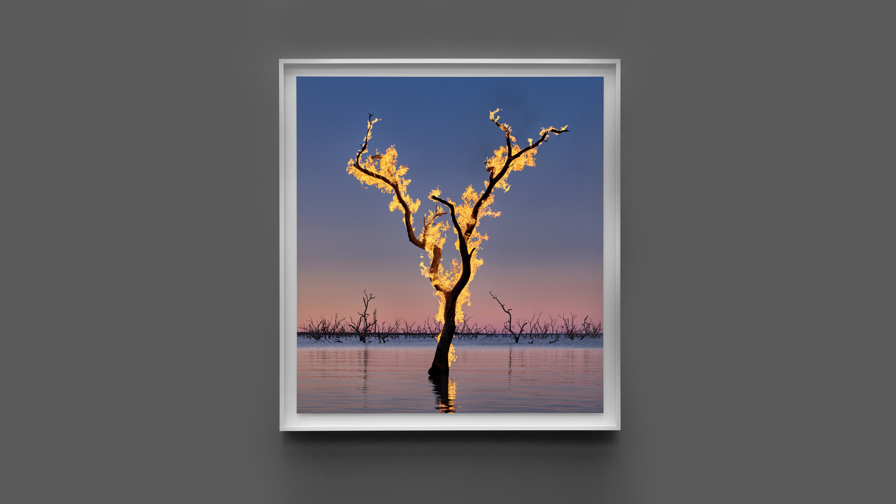 Murray Fredericks. Blaze | Meer