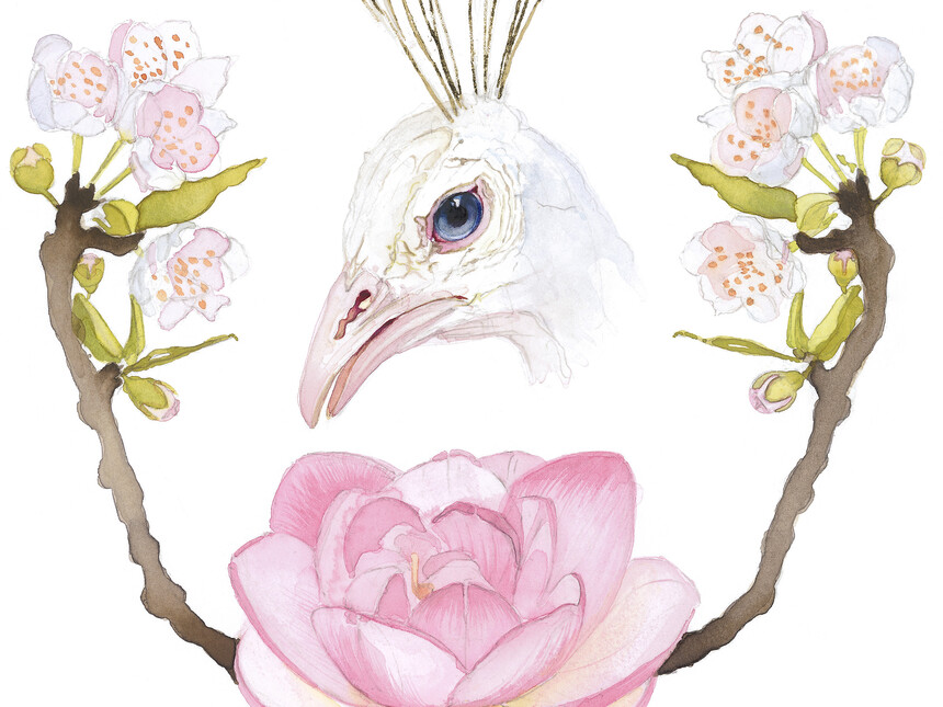 Kate Knight. These Fragile Things | Meer