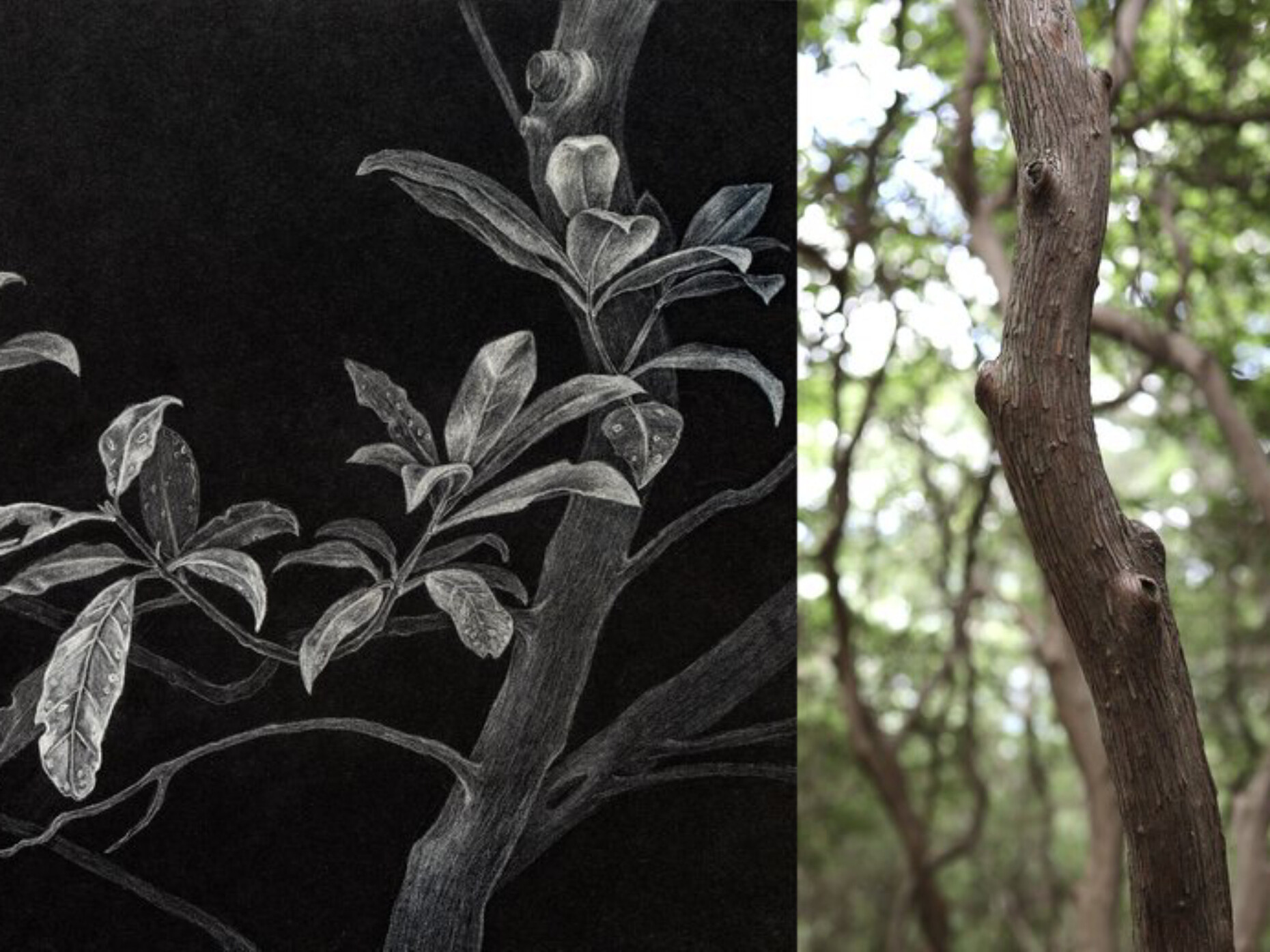 Hilary Tolan. In this place | Meer