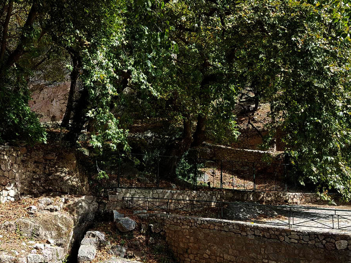 The Delphic Festival | Meer