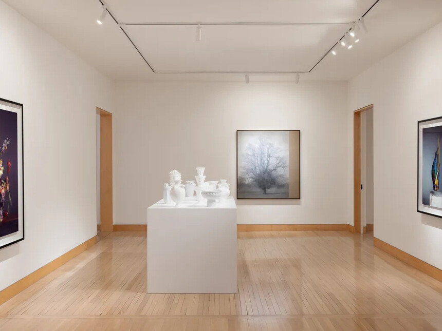 Richard Learoyd's exhibition | Meer