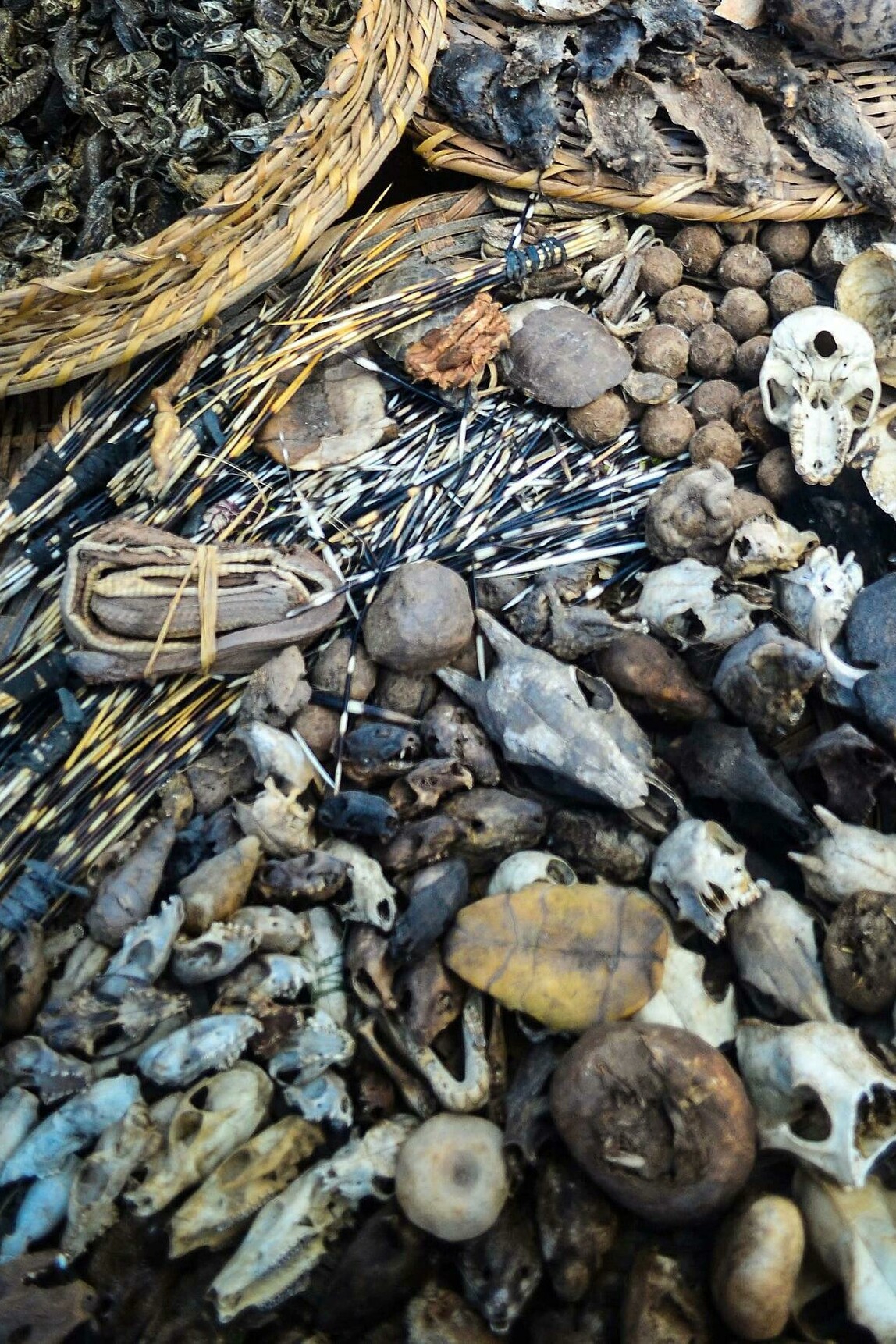 Vodou: spiriti, riti e regine del mistero | Meer