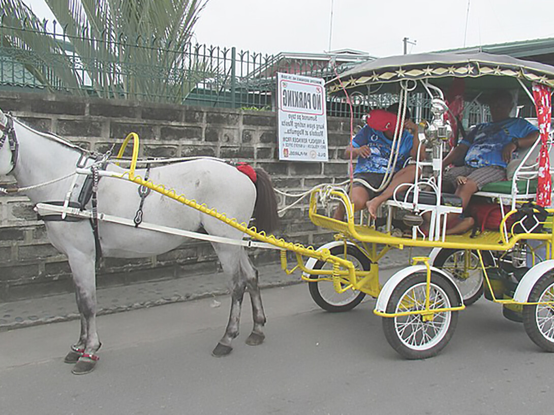 Philippine heritage: the timeless charm of the Kalesa | Meer
