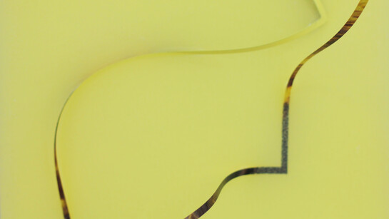 Charlie Godet Thomas | Meer