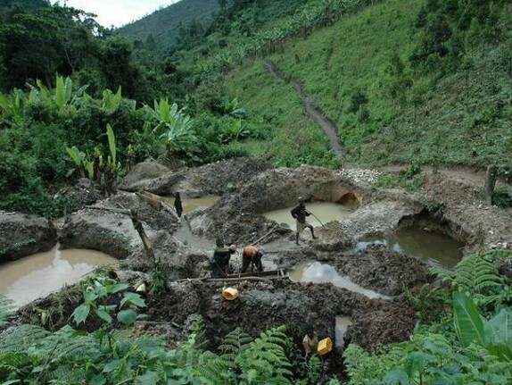 Urbanization versus Deforestation | Meer