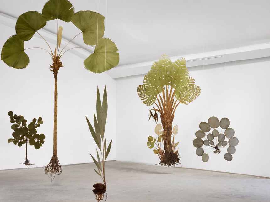 Chapter VII, shifting grounds | Meer