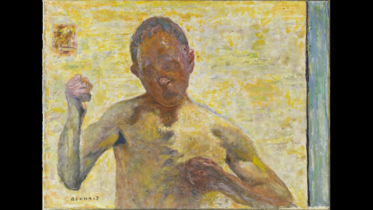 Bonnard's worlds | Meer