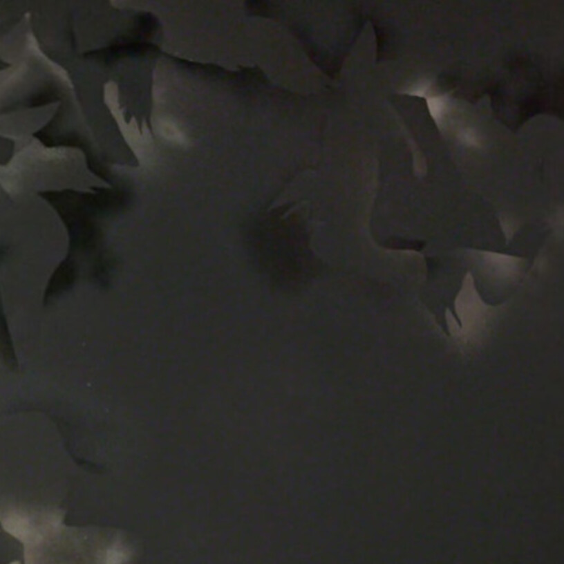 Oliver Lee Jackson | Meer