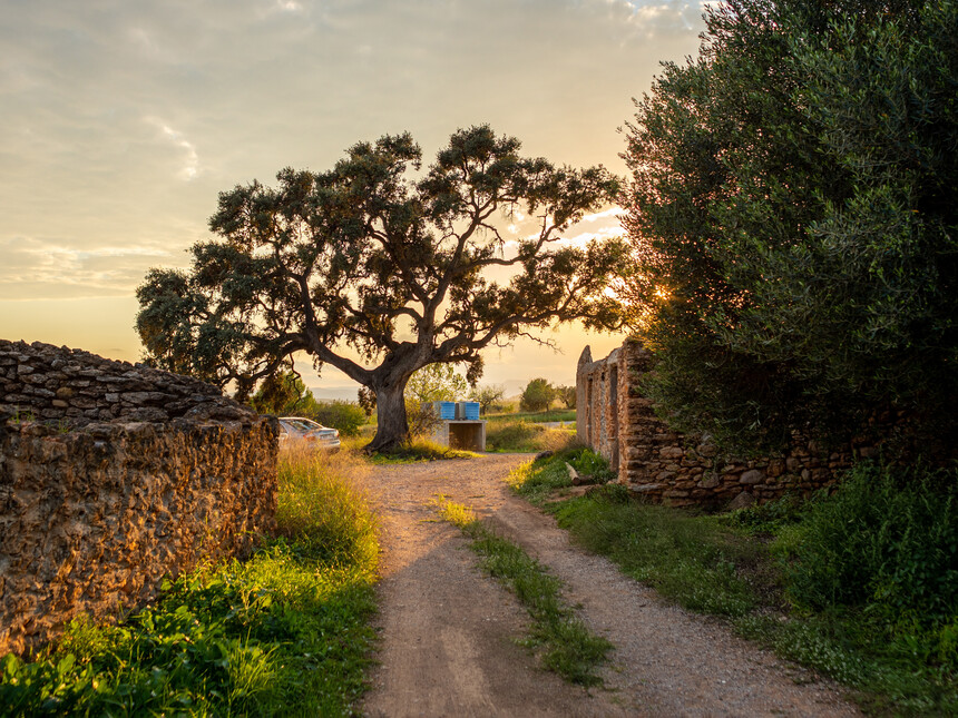 Las bucólicas | Meer