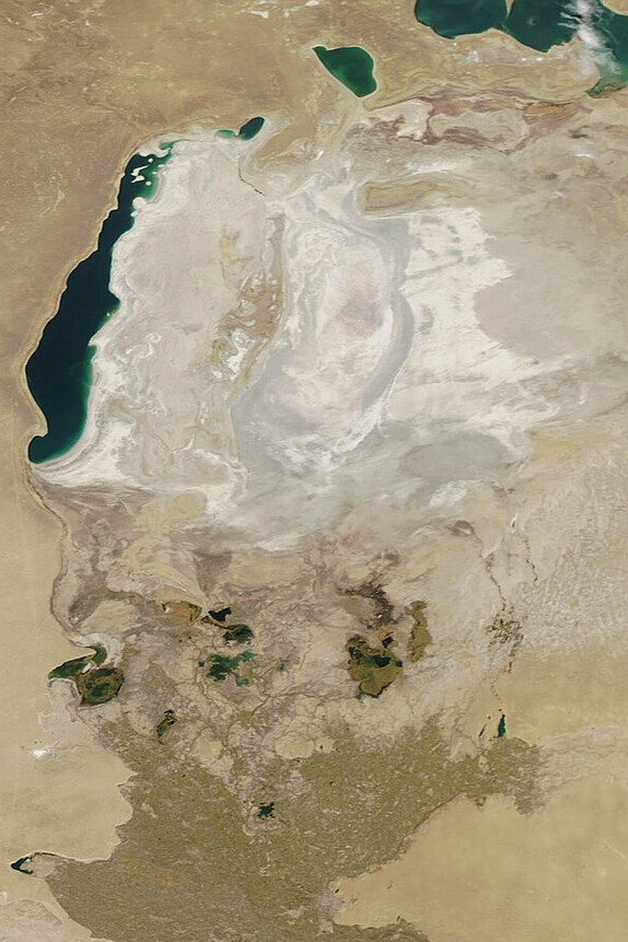 The Aral Sea crisis: a devastating environmental disaster | Meer