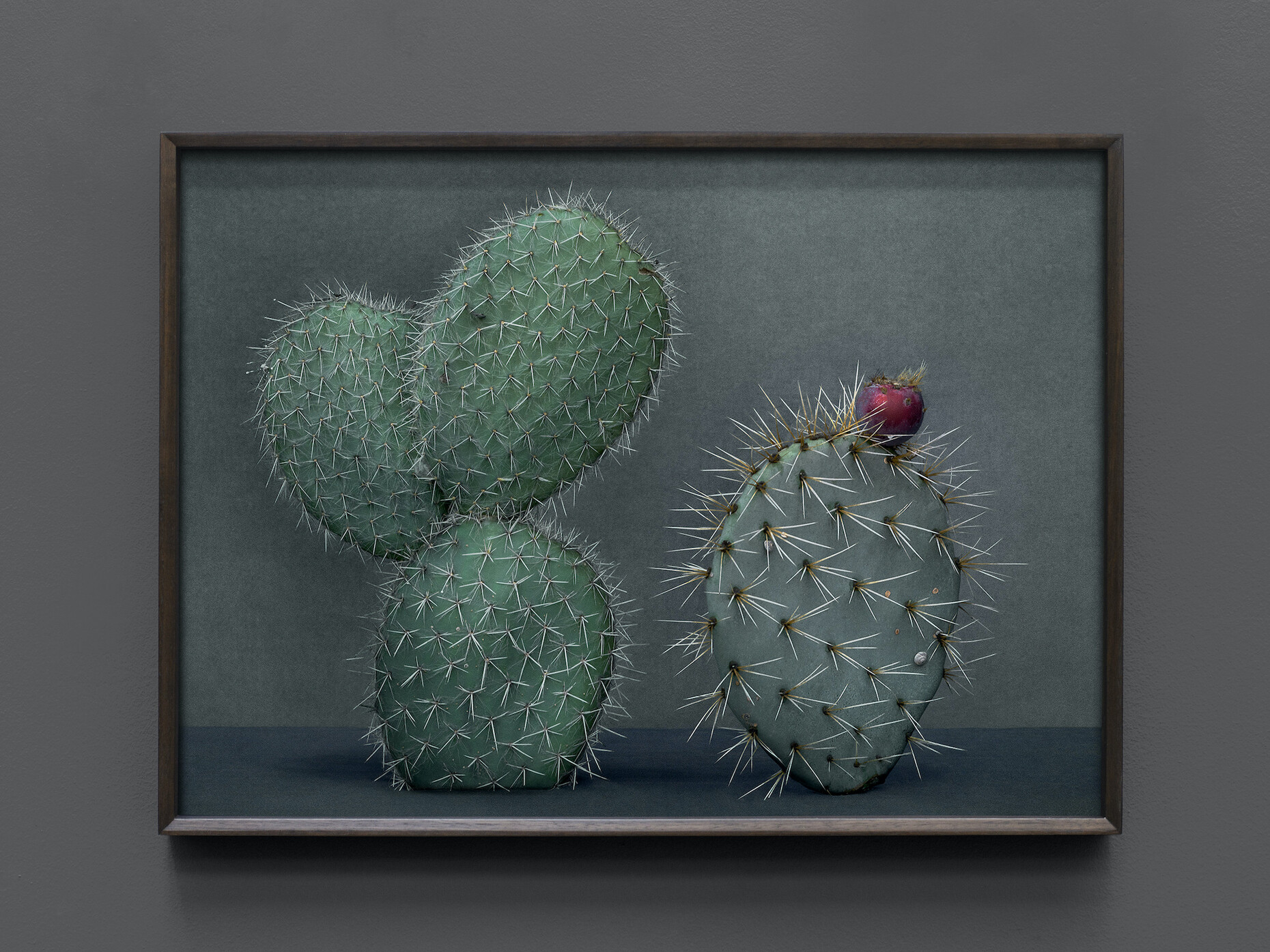 Mario Testino. South Americana | Meer