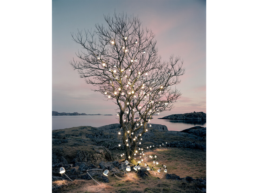 Rune Guneriussen | Meer