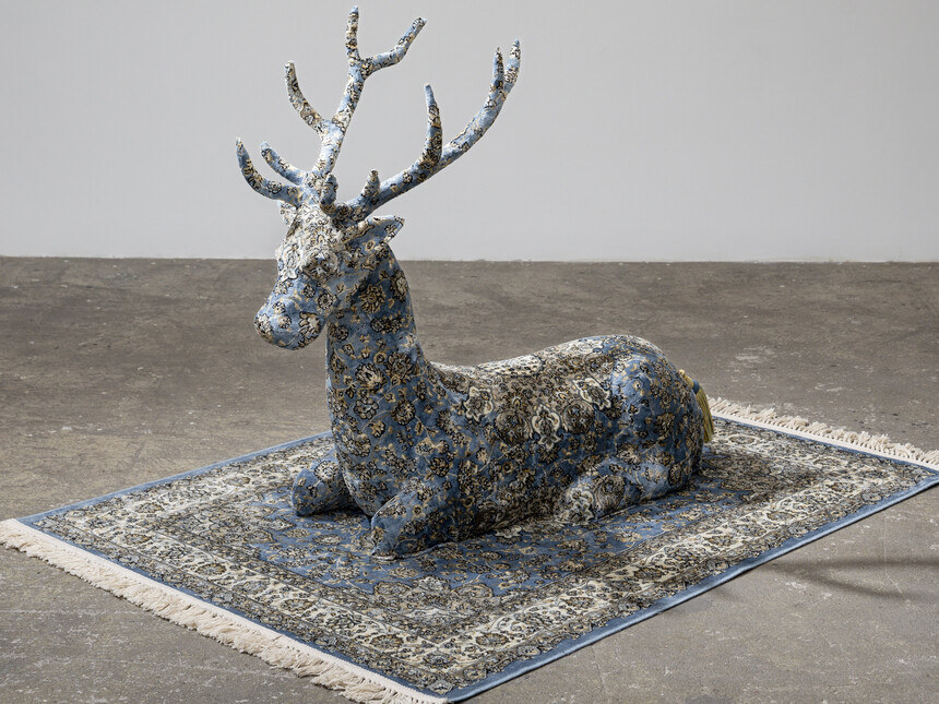 Debbie Lawson. Hidden territories | Meer