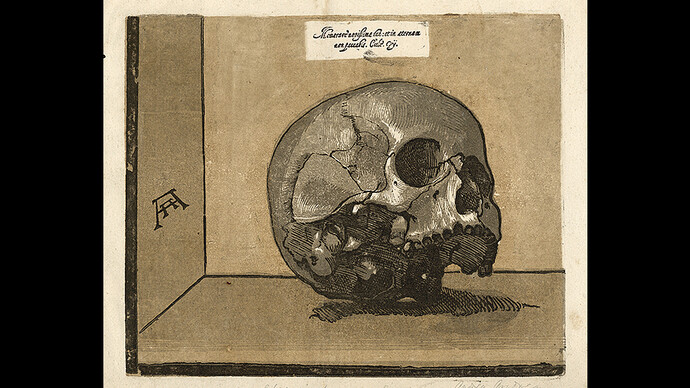 The Chiaroscuro Woodcut in Renaissance Italy | Meer