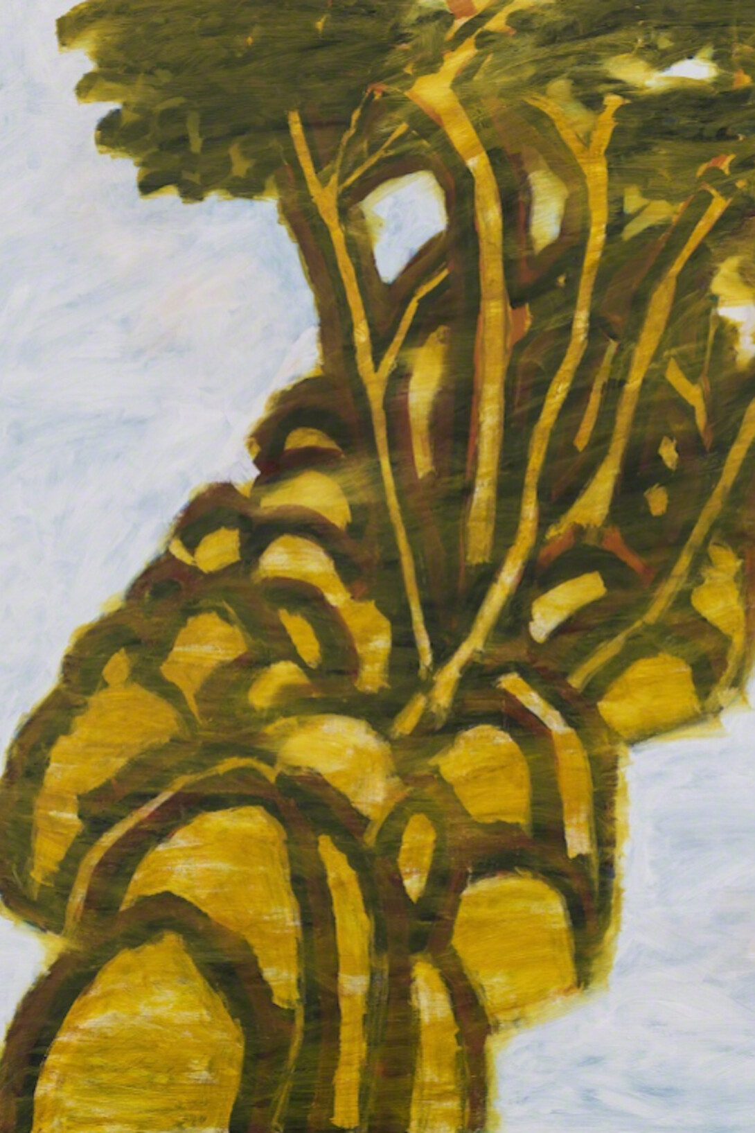 Zhao Gang Solo Exhibition | Meer