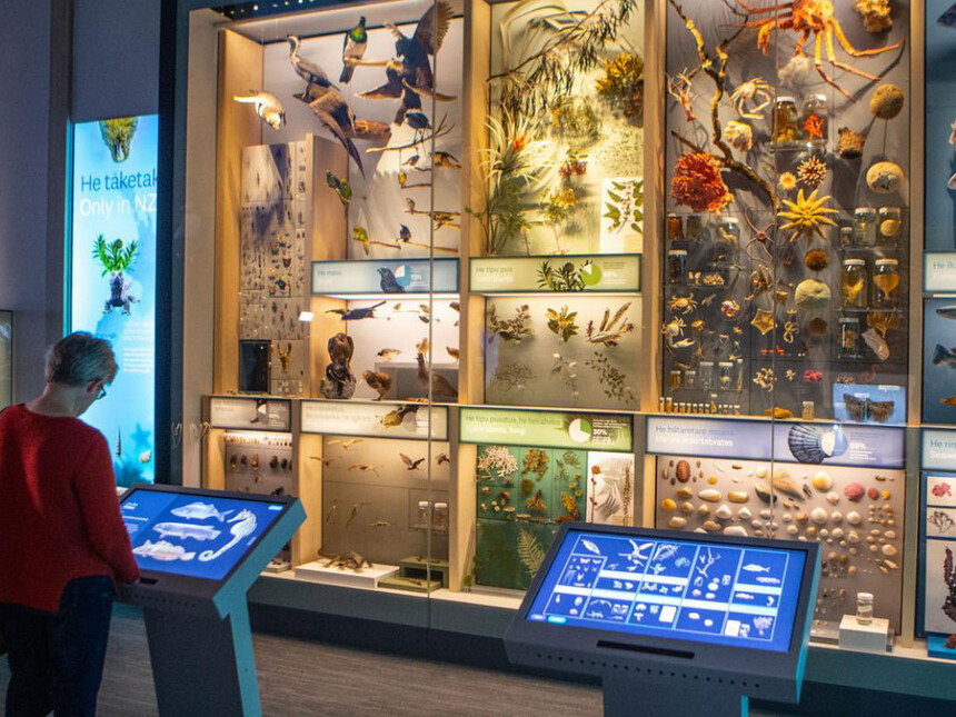 Te taiao. Nature | Meer