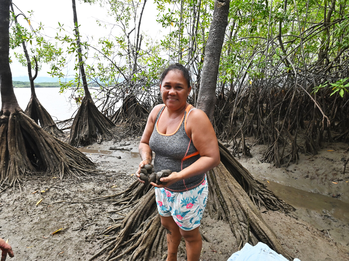 Sustainability and Costa Rica: not all is Pura vida | Meer