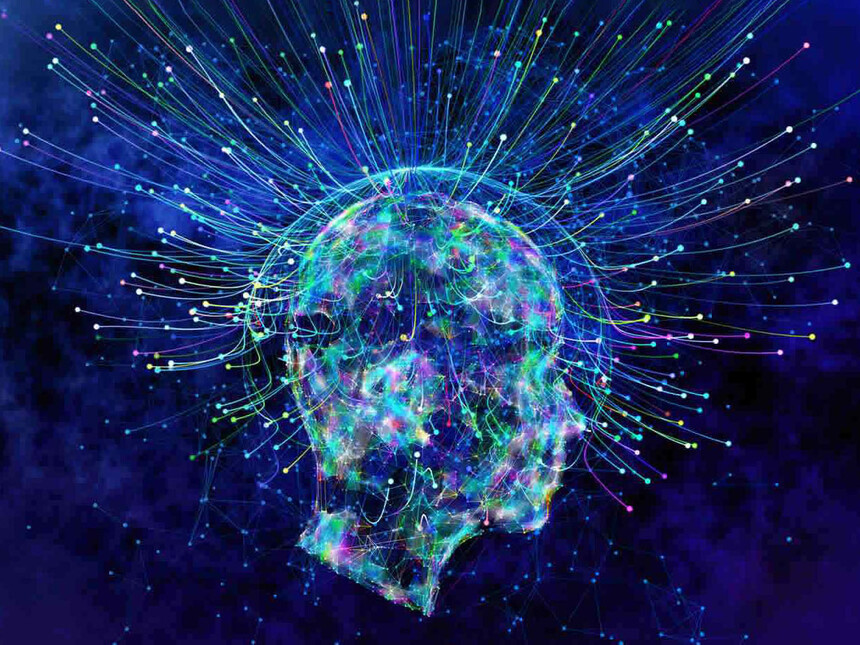 The art of mind-flow and neuroscience | Meer