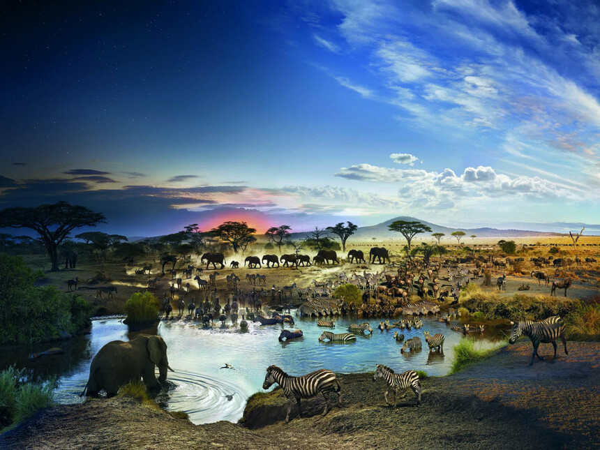 Explore: pianeta Terra | Meer