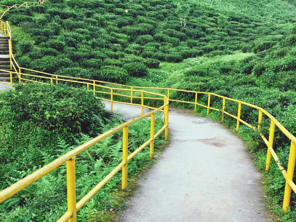 Ilam, Nepal: a blend of land, culture, and economy | Meer