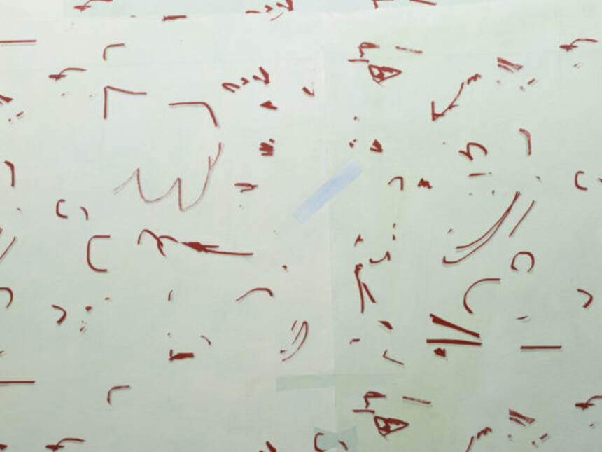 Chris Domenick | Meer