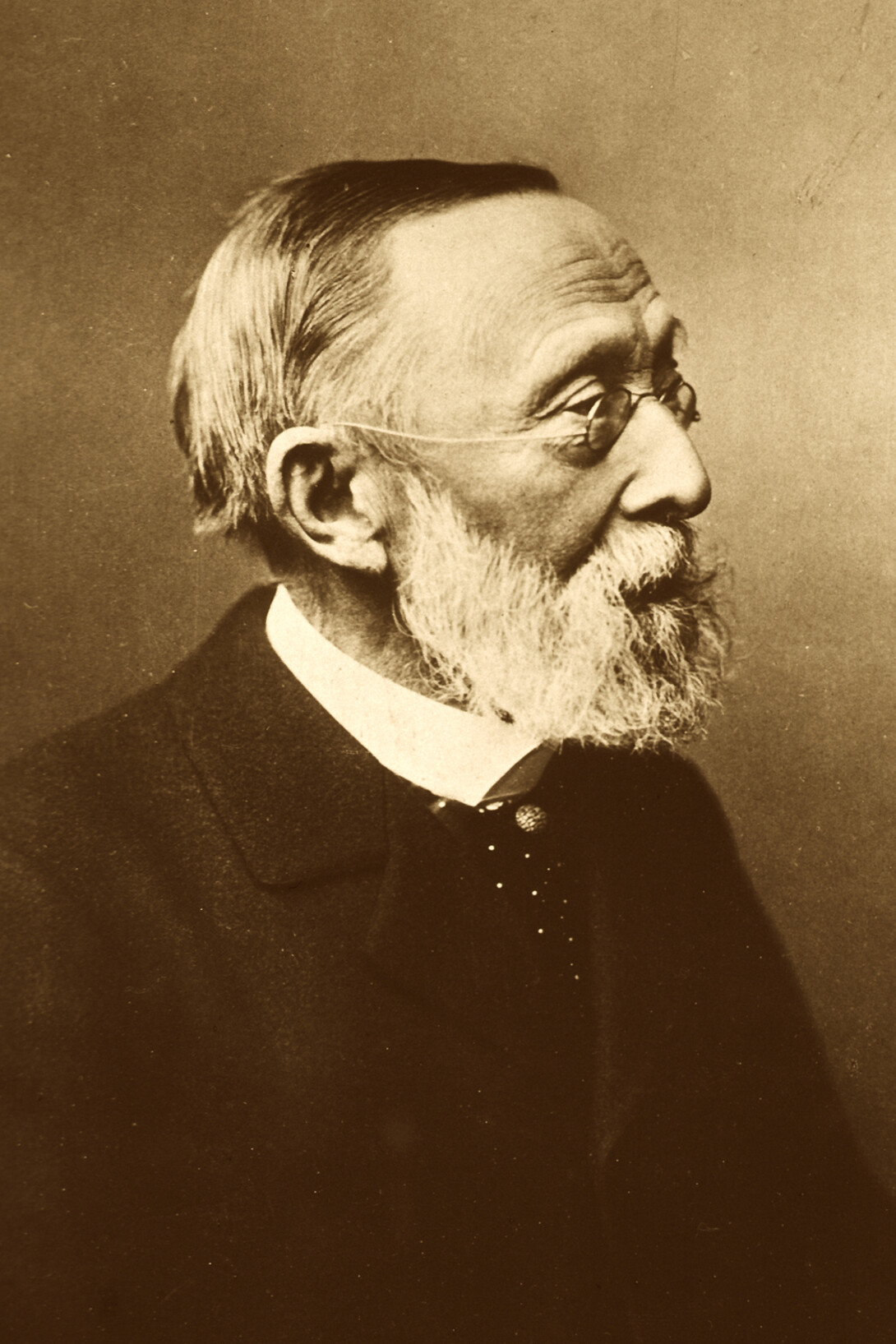 Rudolf Virchow | Meer