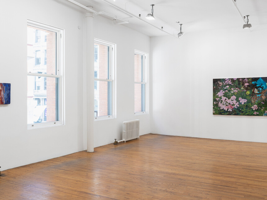 Constellations | Meer