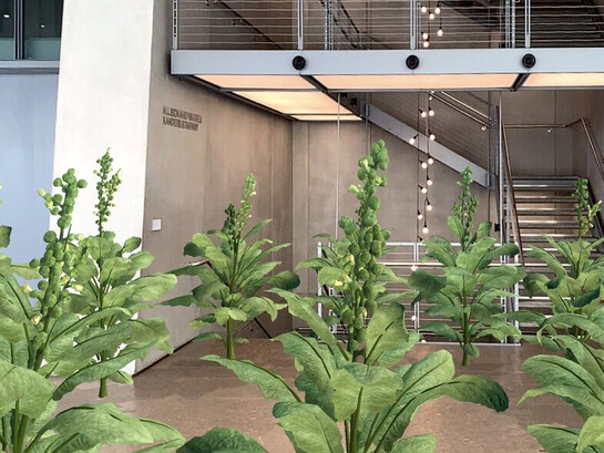 Alan Michelson | Meer