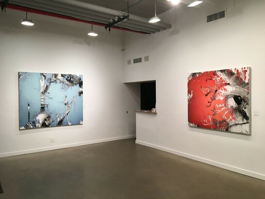Jeff Muhs. Supernature, exhibition view. Courtesy of Lyons Wier Gallery ...