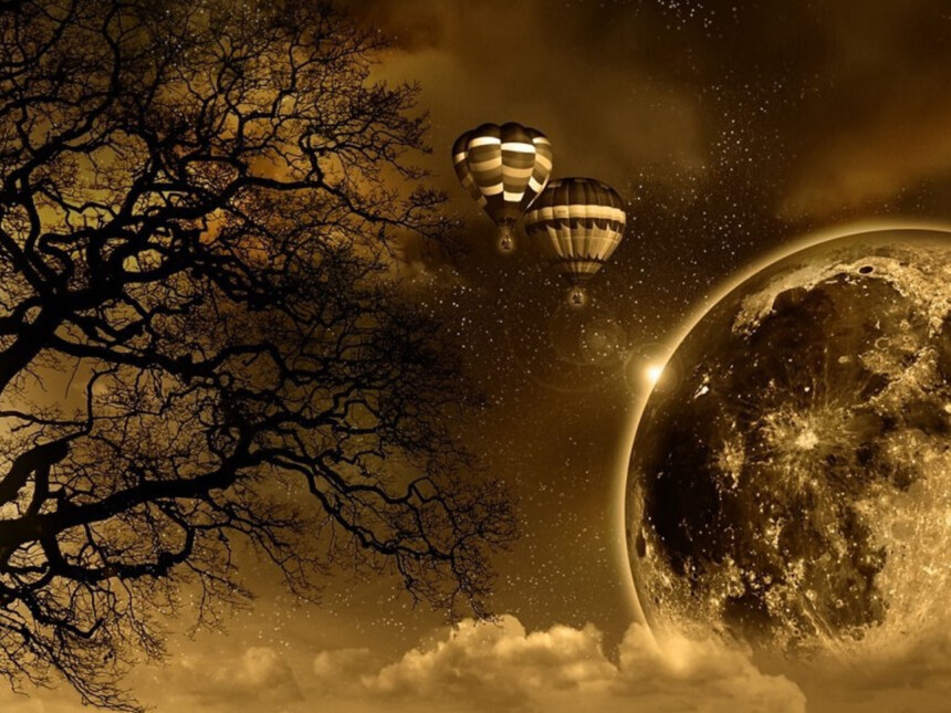 Humanity seen from the universal laws | Meer