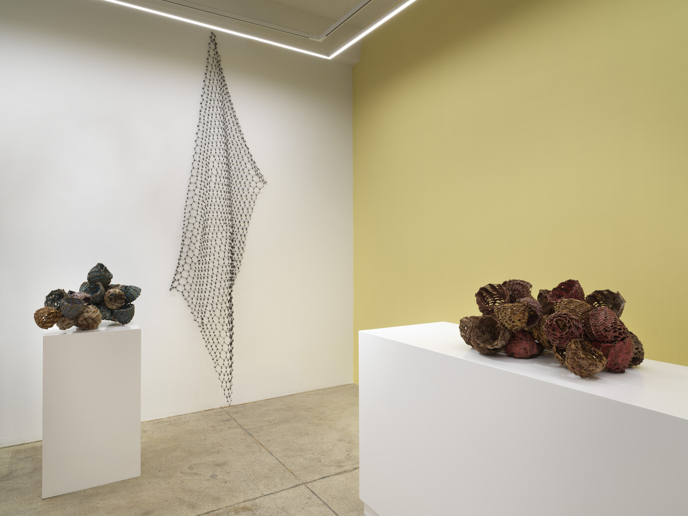 Tamiko Kawata | Meer