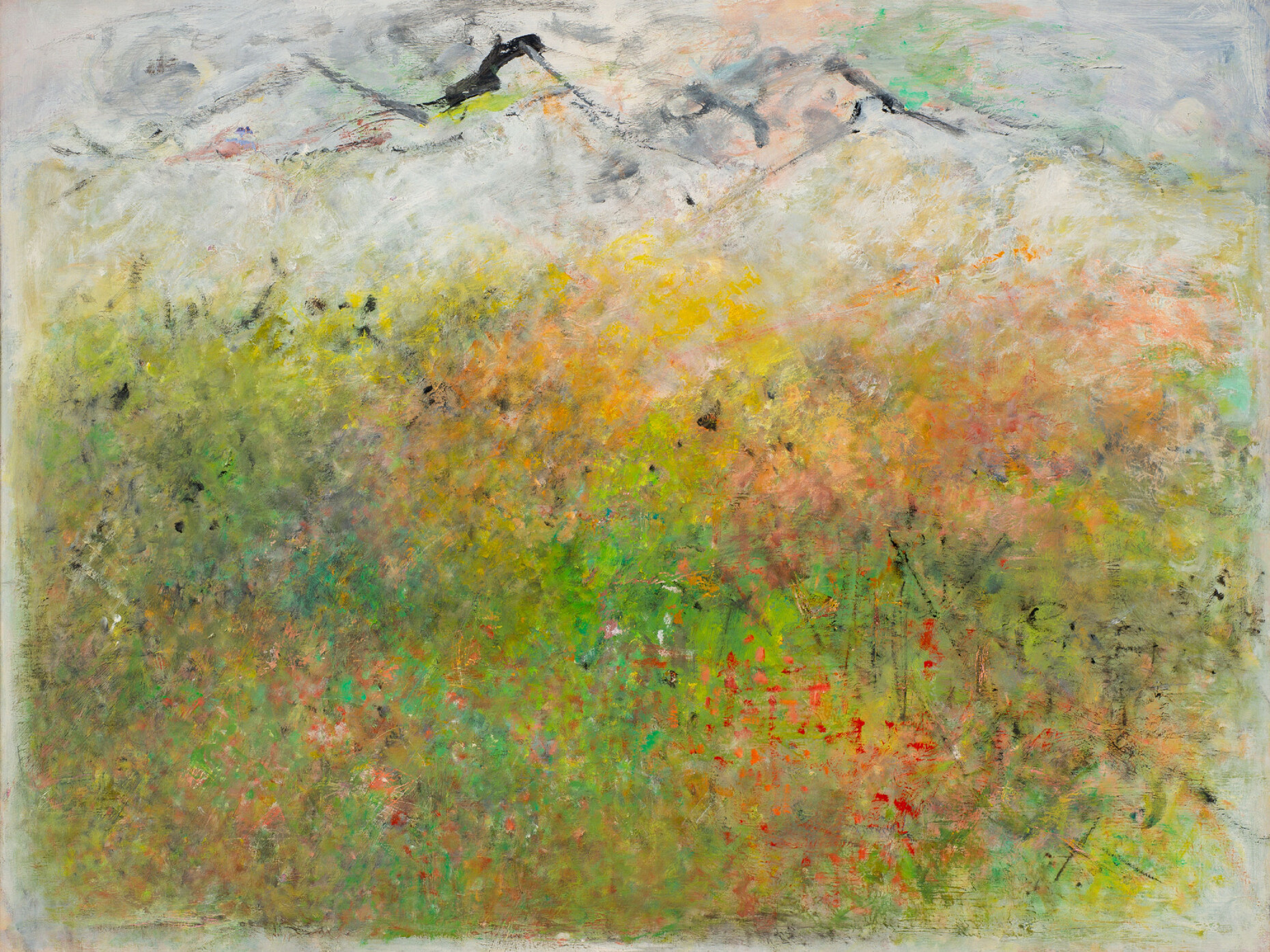 Jacqueline Lamba. Painter | Meer