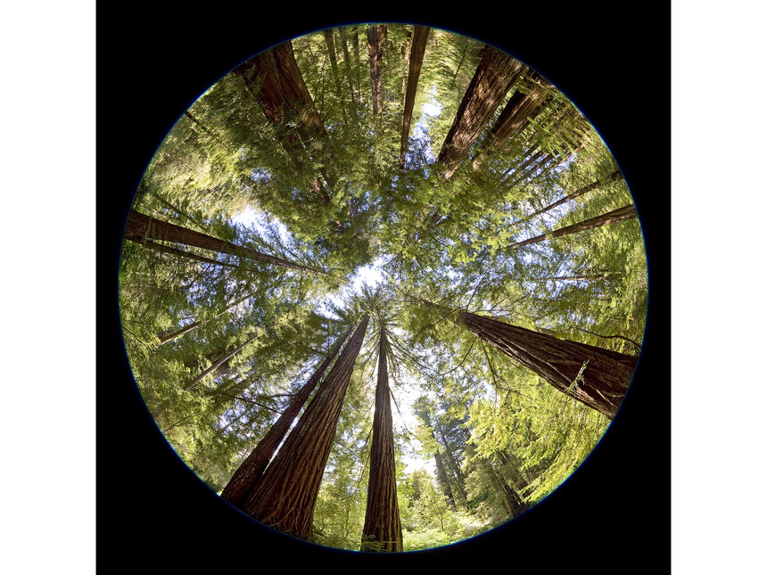 Peter Newman. Subterranean Blues | Meer